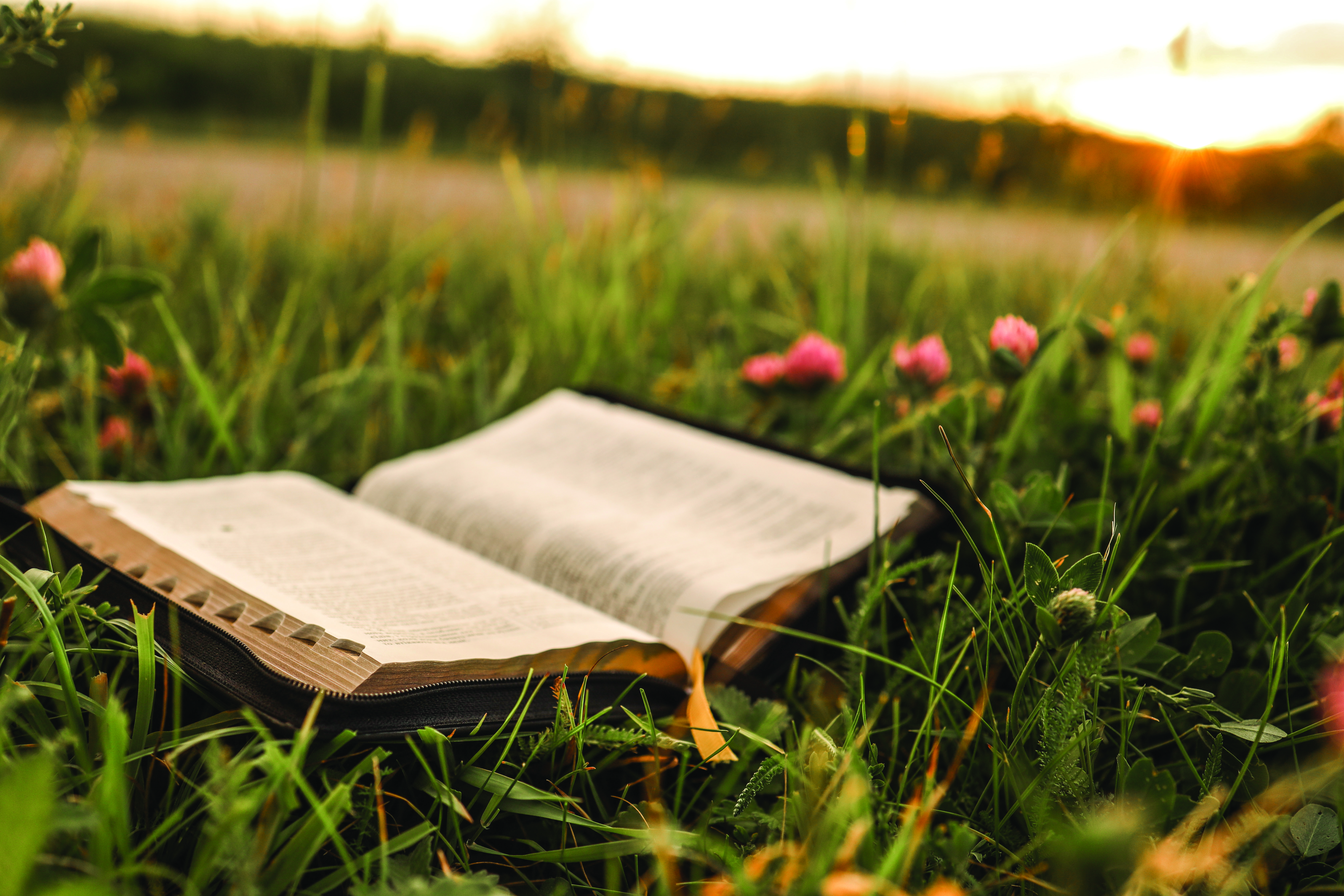 AFA - Living up to God's standards