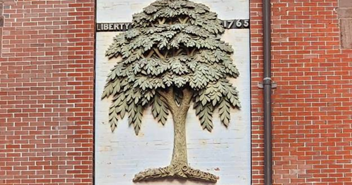 AFA - The Boston Liberty Tree