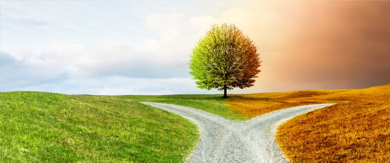 AFA - Which Path Shall We Take?