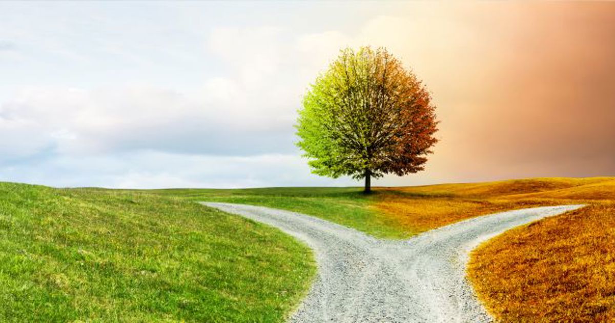 AFA - Which Path Shall We Take?