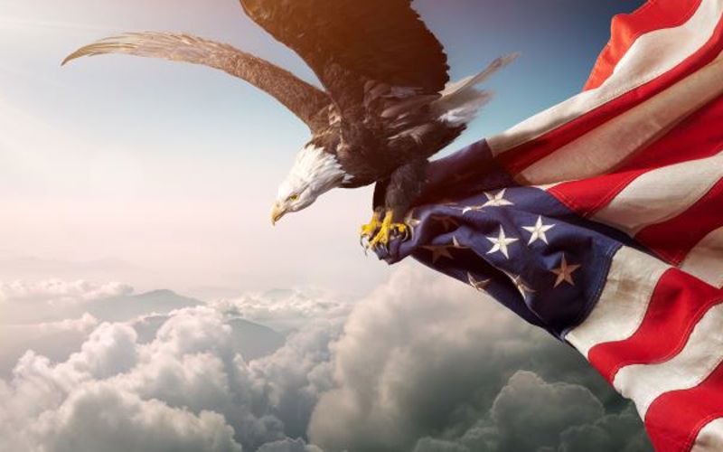 AFA.net - As Sanity Wanes, Freedom Hangs in the Balance